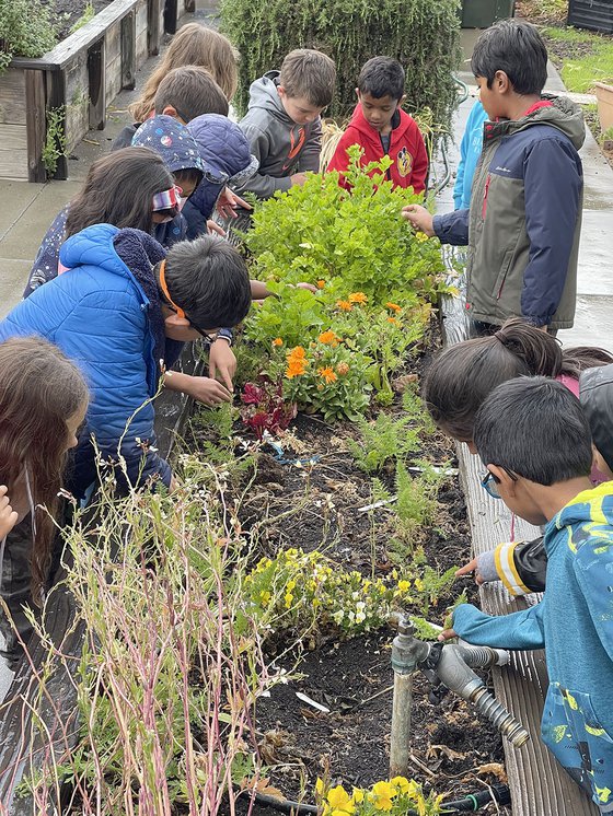 These green schools show students how to create environmental change
